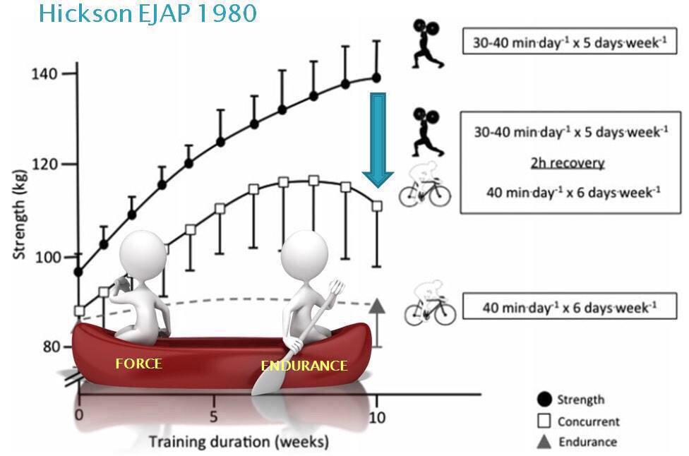 YLMSportScience on Twitter: "Many sports require both force & endurance | Some Tips here to ...