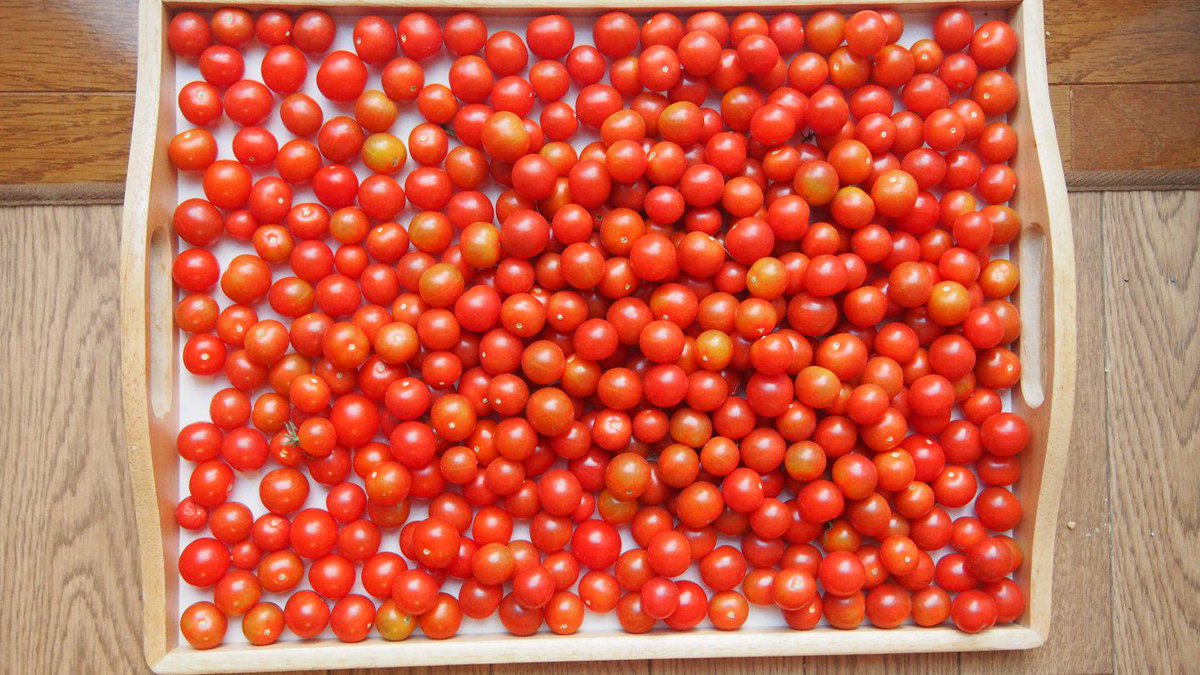 ICHIパパ (@ichi_tomato) | Twitter