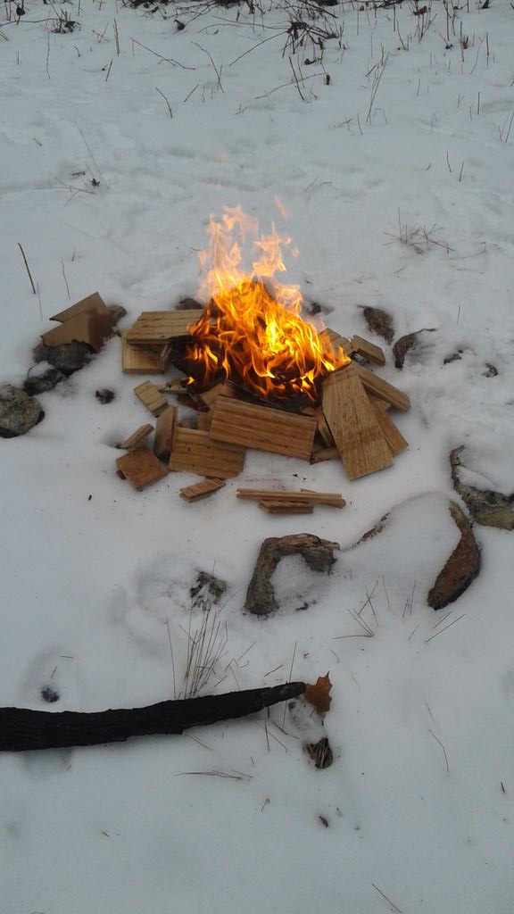 Matt Witkowski (@muckwit) | Twitter