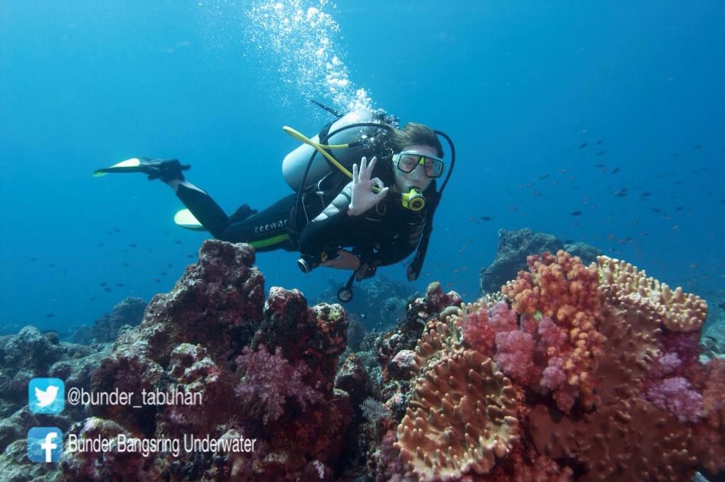 Bangsring Underwater Pesona Baru Di Banyuwangi Kaskus