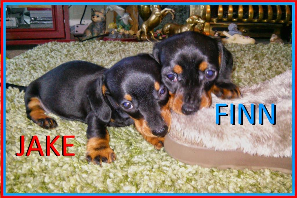 Louise Sage (@sage_louise) | Twitter