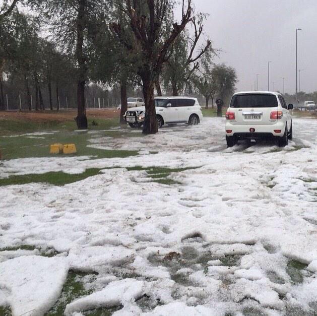 بالصور .. ثلوج الإمارات بعدسات محبيها