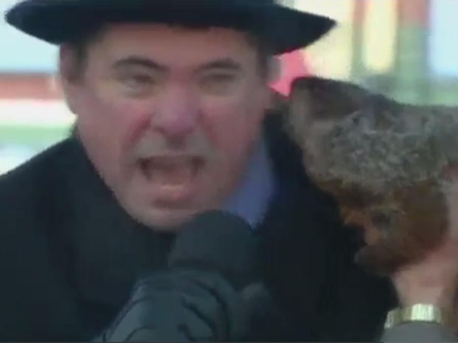 VIDEO: Watch Wisconsin mayor react as Jimmy the groundhog bites his ear ...