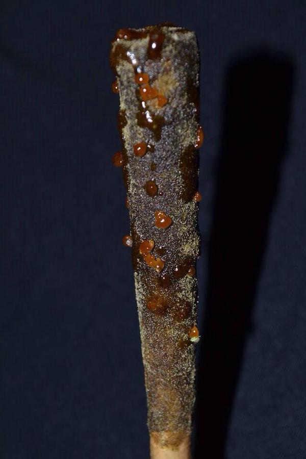Hash Oil Joint