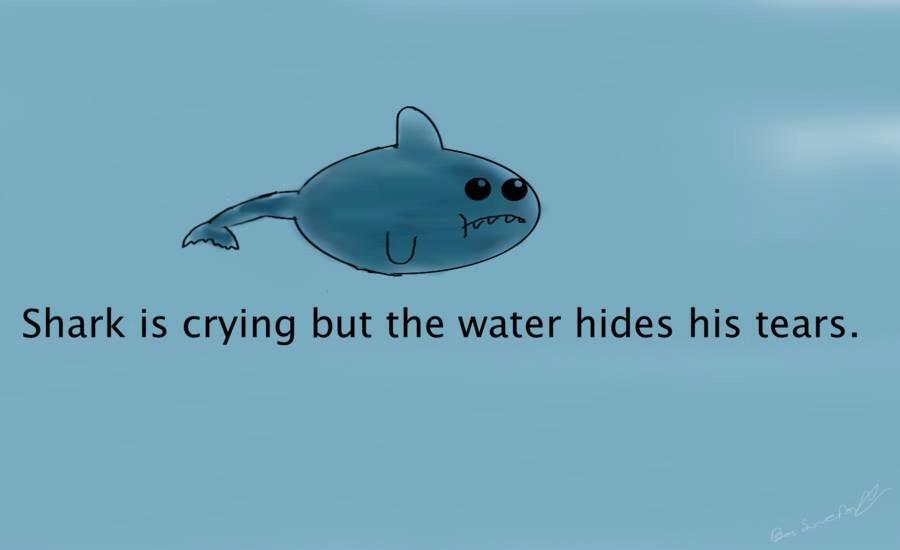 Crying Animated Shark Crying Animated Shark