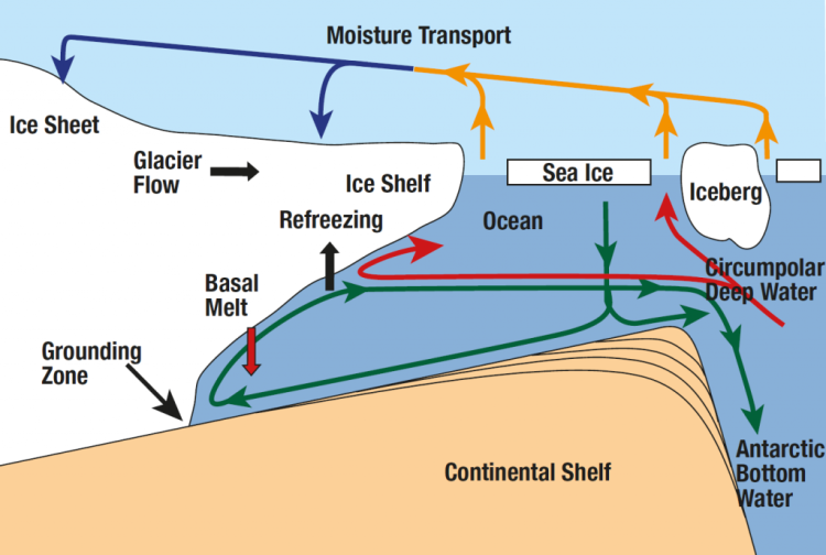Increasing Antarctic Albedo?
