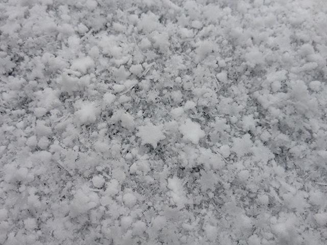Real Snowflakes Outside