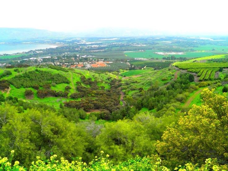 ahmed bajaber (@ahmed_bajaber) | Twitter ahmed bajaber (@ahmed_bajaber) | Twitter