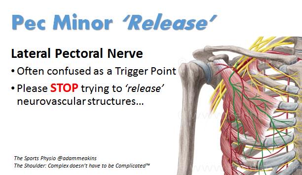 Lateral Pectoral Nerve