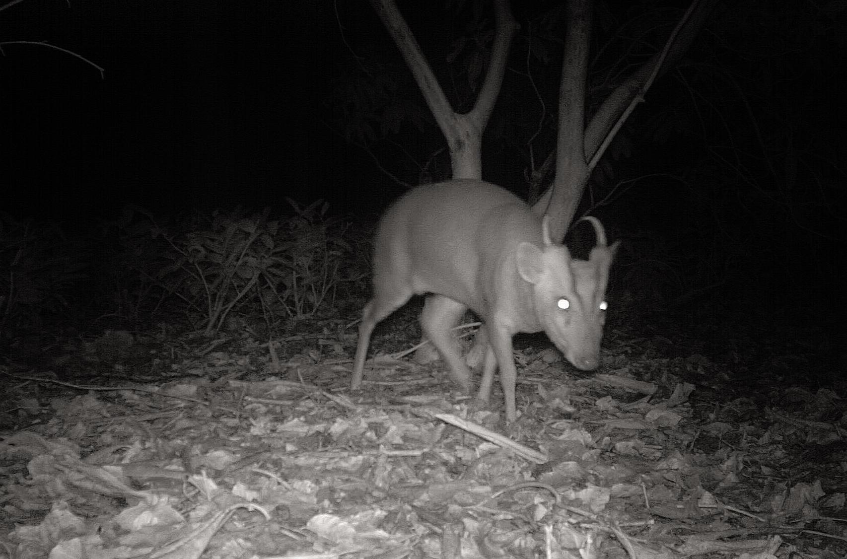 Real Devil Caught On Camera