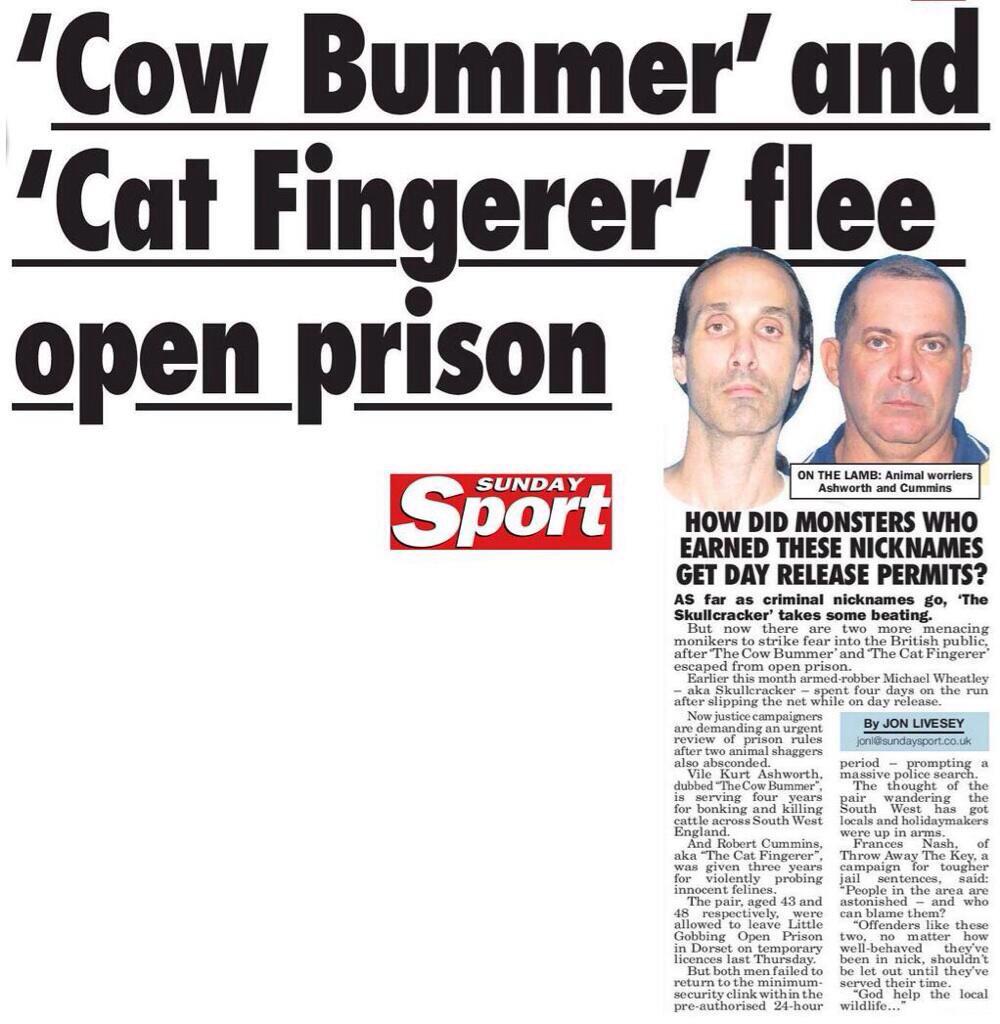 British Funny Newspaper Headlines