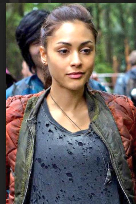The 100 Raven