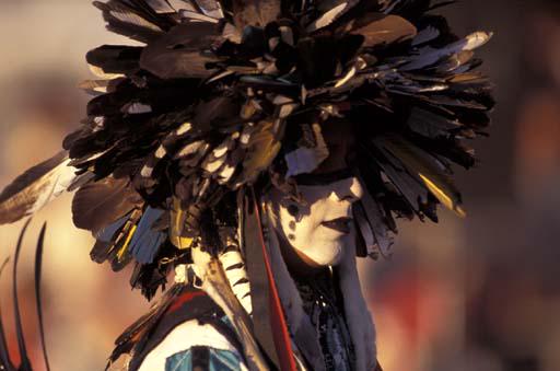 What Were Dog Soldiers Native American