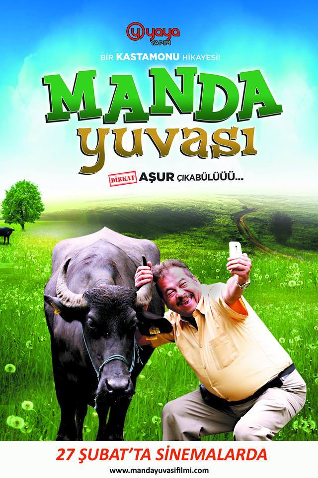 fenomen (@Fenoloji) | Twitter