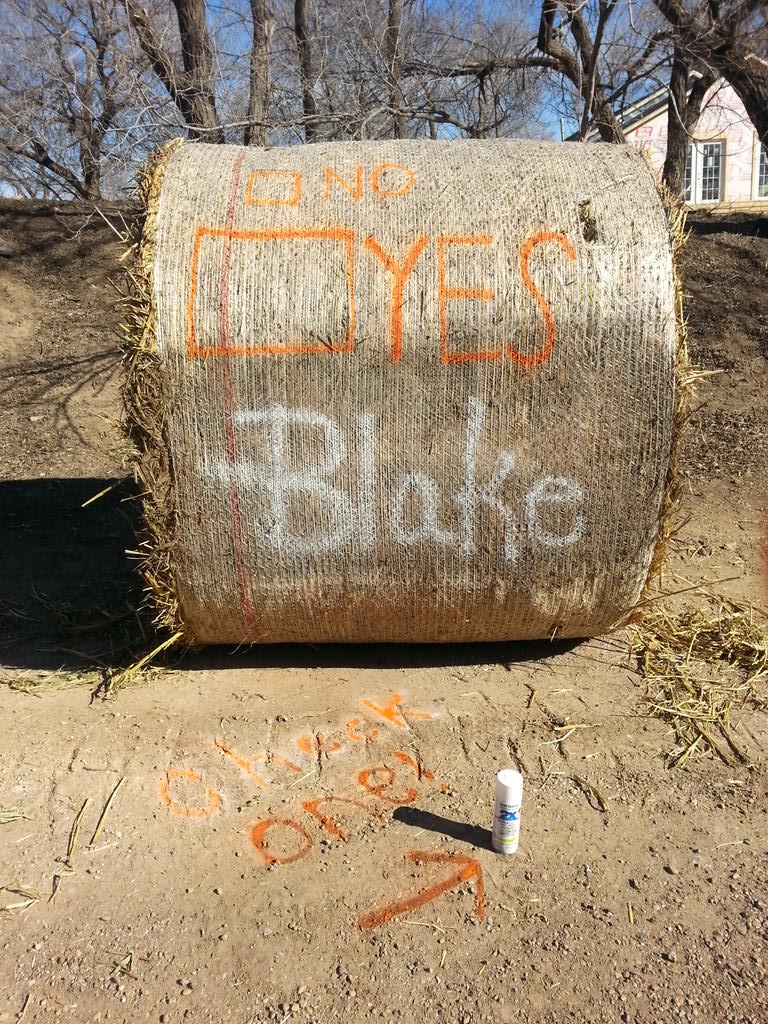 Blake Reimer (@blake_reimer) | Twitter