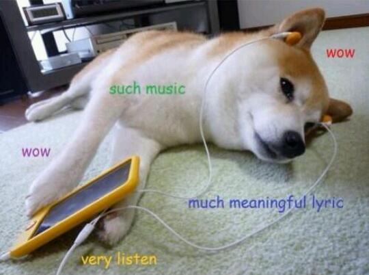 Dog Listening To Ipod