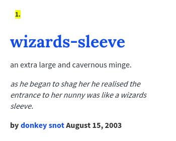 Wizard Sleeve Slang