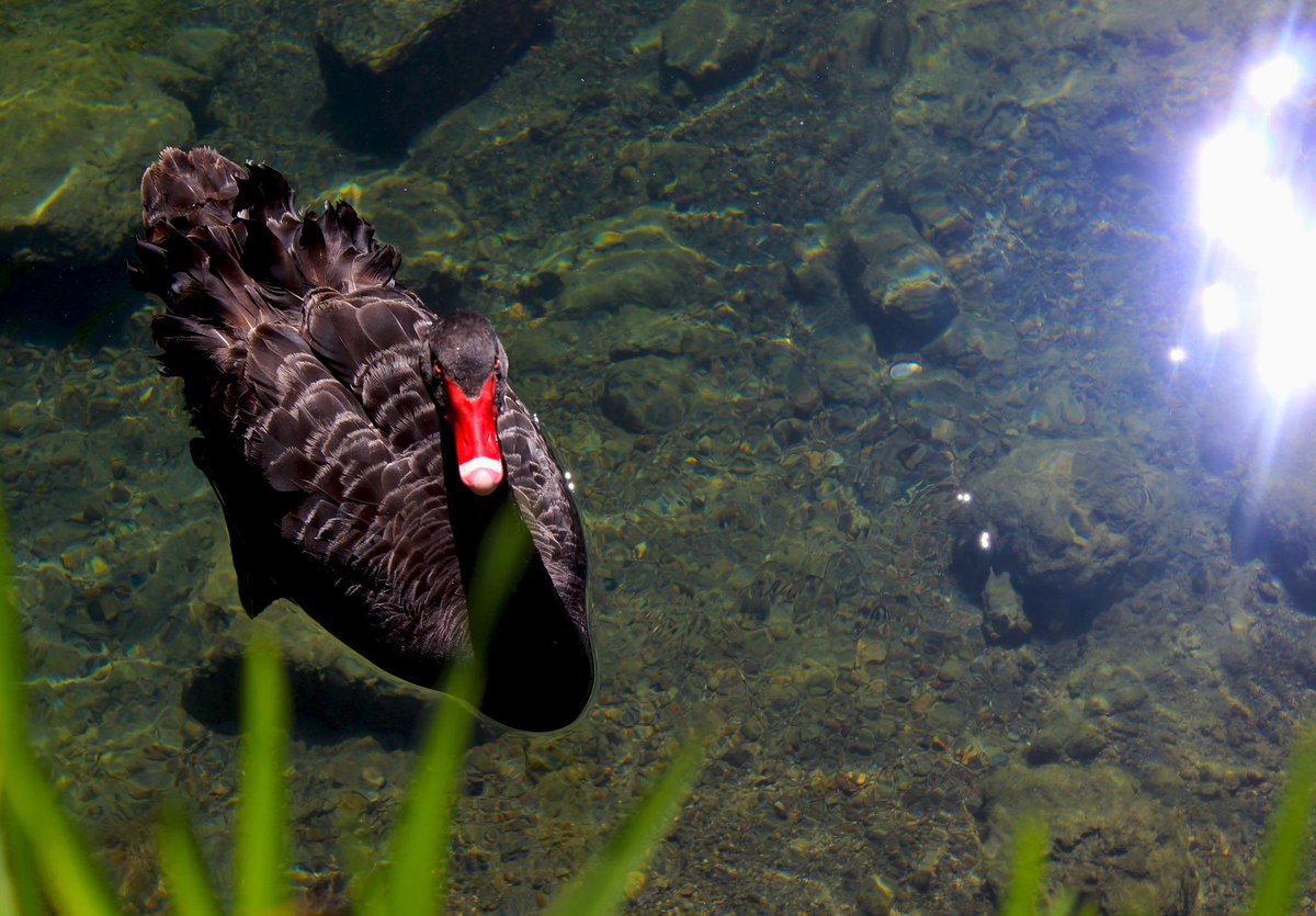 Lauren Poore (@lauren_poore) | Twitter