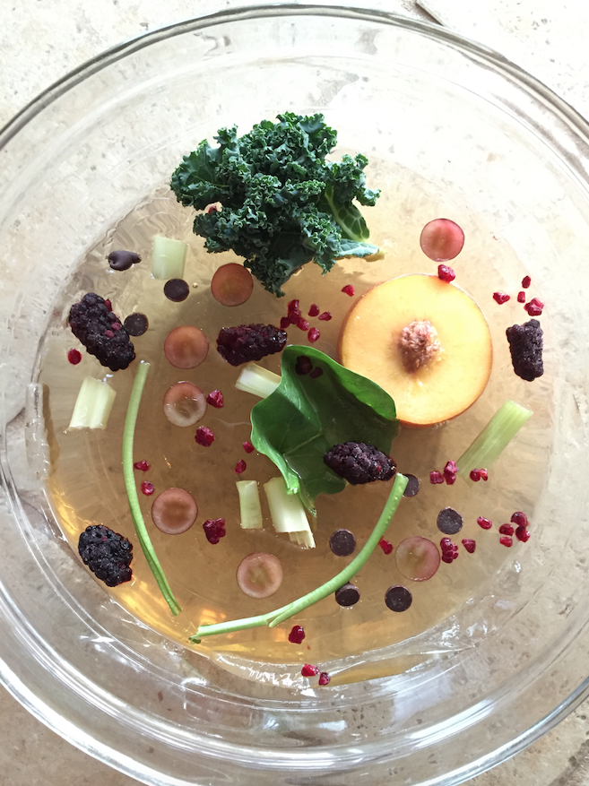 Animal Cell Project Jello