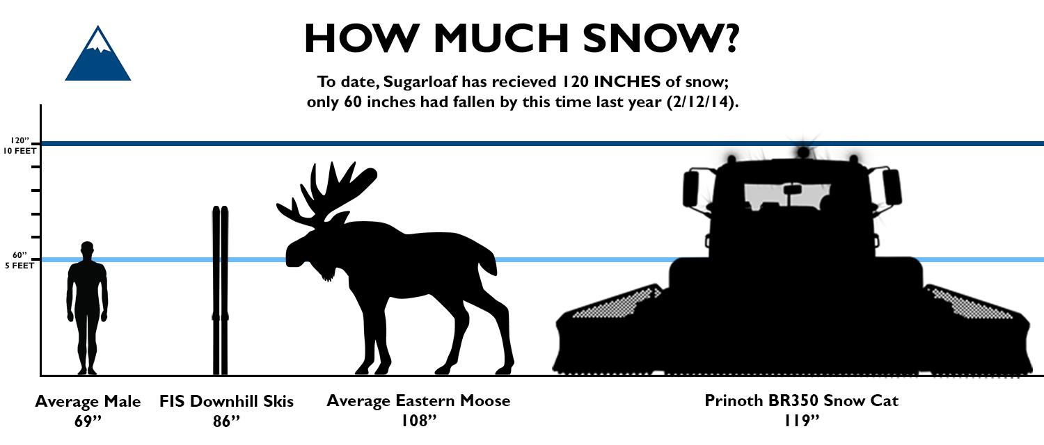 Moose Size Comparison To Humans