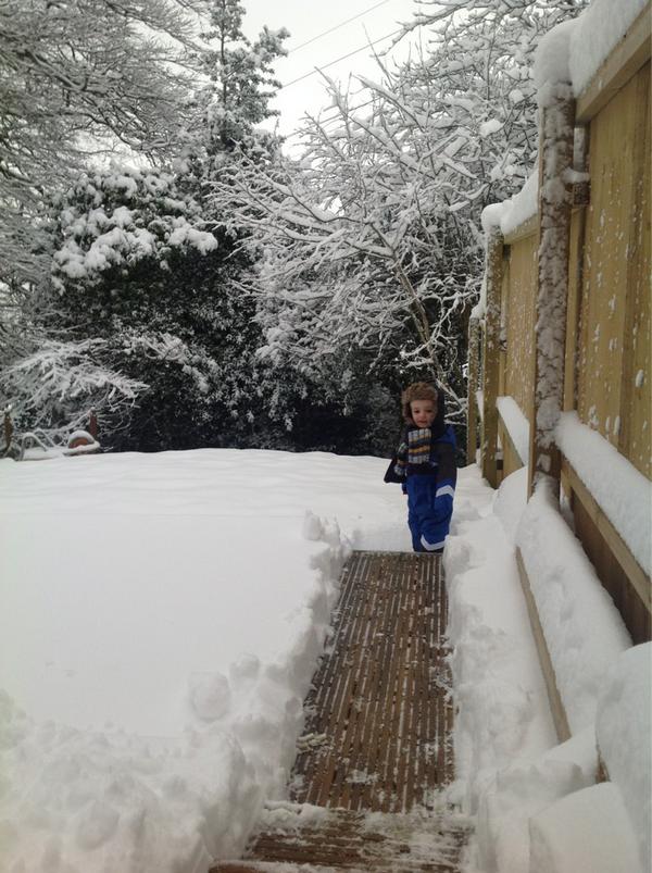 Dan Rees (@danrees4) | Twitter