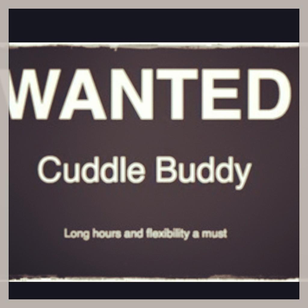 Cuddle Buddy