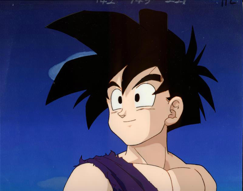 Dragon Ball Z Gohan Normal