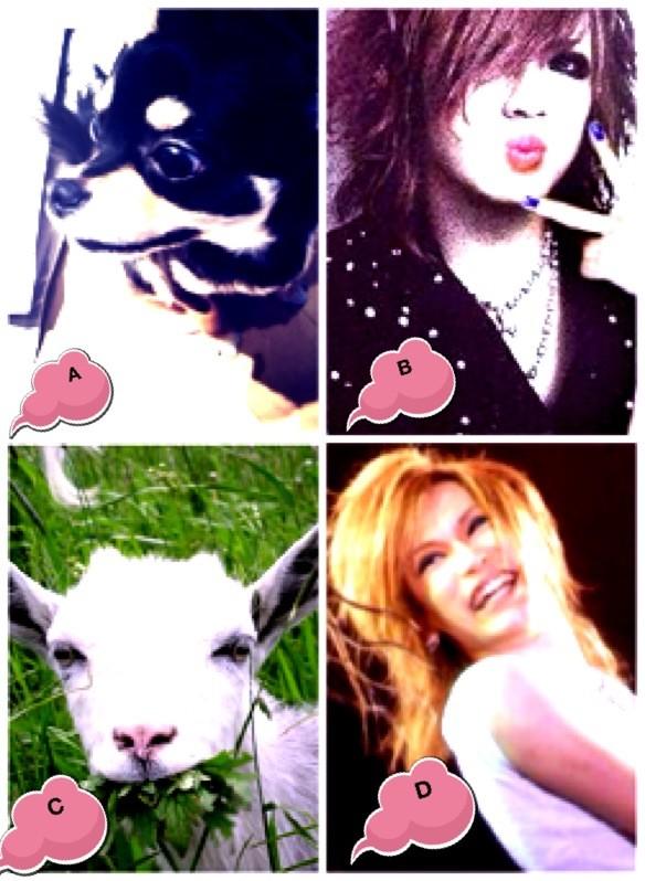 Koron (@Koron_official) | Twitter