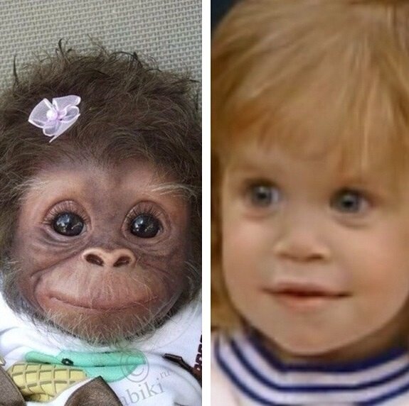 Michelle Tanner Thank You Very Much