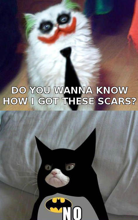 Grumpy Cat Batman Joker