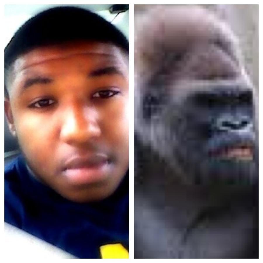 Fat Ugly Gorilla