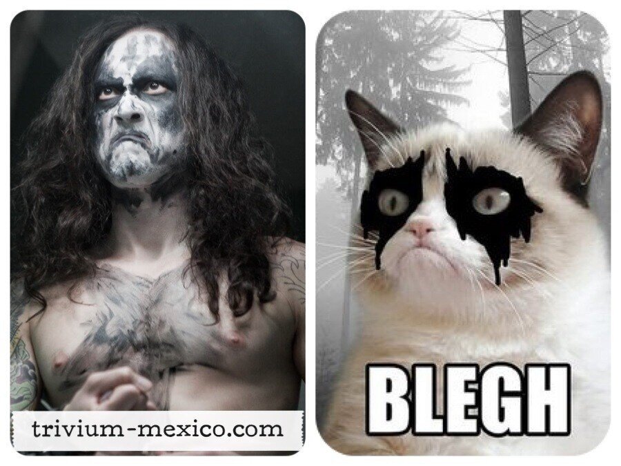 Abbath Cat