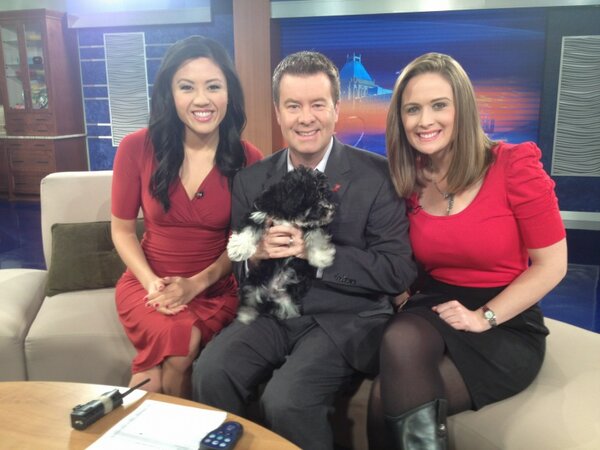 Meghan Packer | twtrland