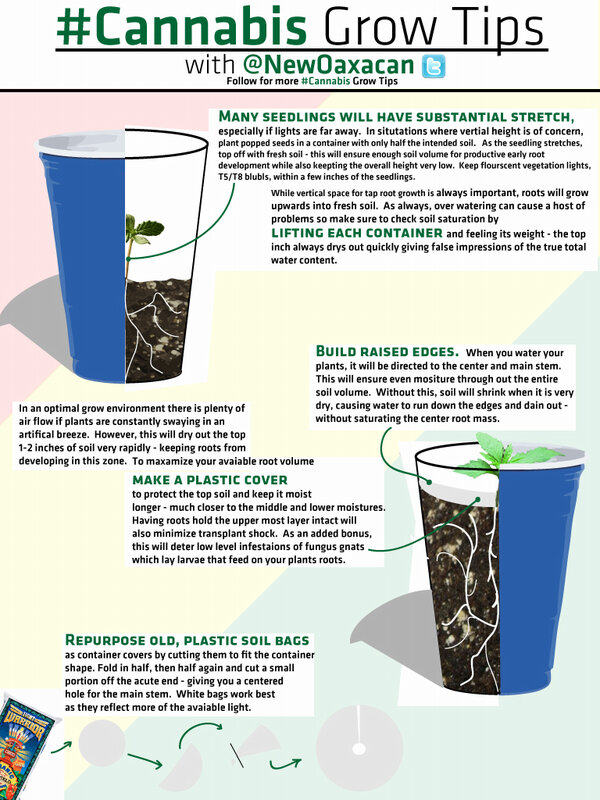 #Cannabis Micro Grow Tips : r/microgrowery