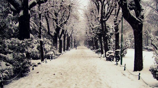 Devil's Monkey (@DevilsMonkeyRO) | Twitter