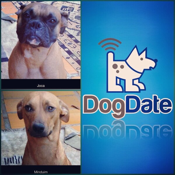 DogDate (@DogDate) | Twitter