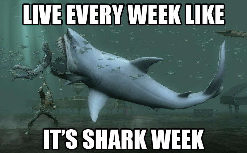 Shark Week Meme