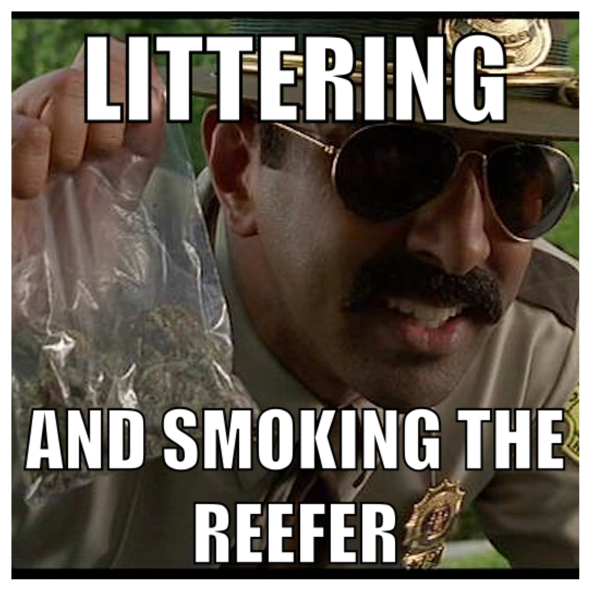 Super Troopers Meme Littering