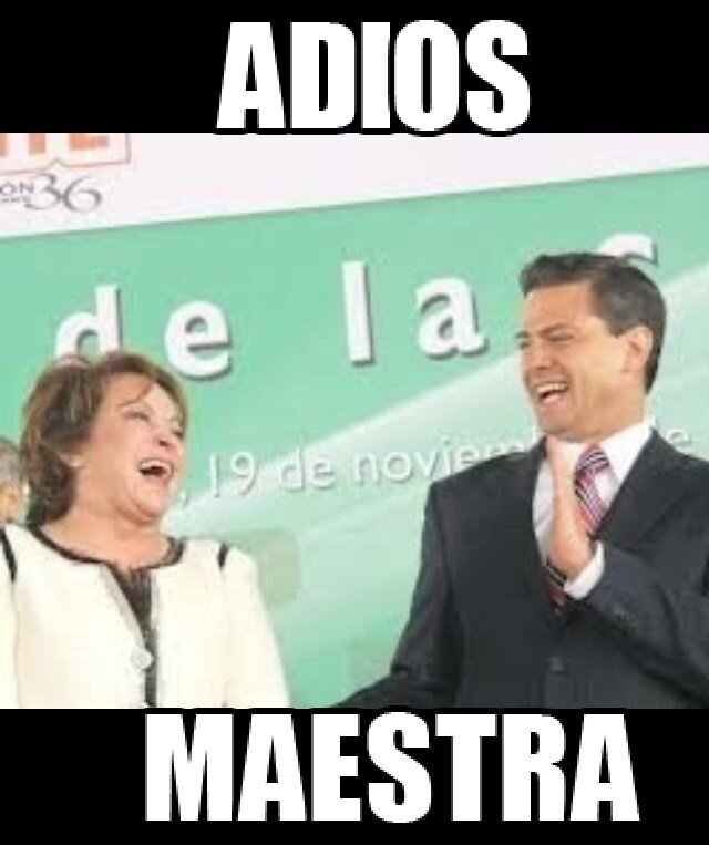 Memes De Manicomio