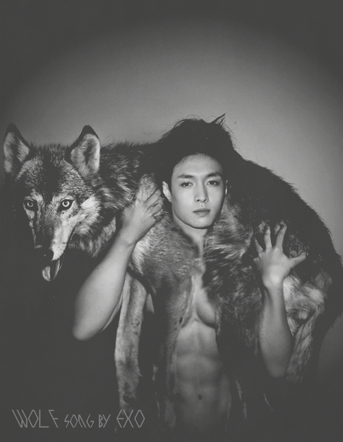 Lay Wolf Exo