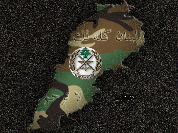 Lebanese Army Flag Wallpaper