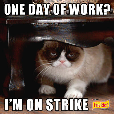 Grumpy Cat Work
