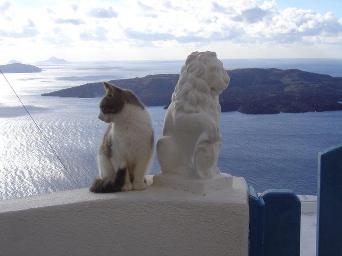 STEPN-BSC.SOL.3/25(@nekogazo_bot) - Twilog