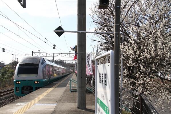 常磐線651系・E653系特急型車両の最終日 - posfie