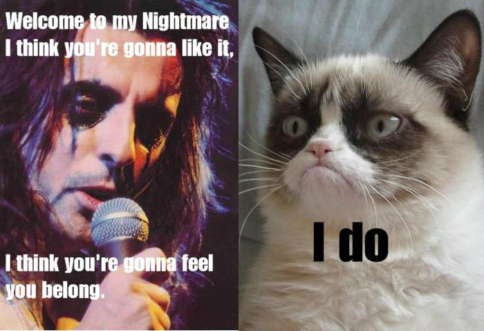 Grumpy Cat Youre Welcome