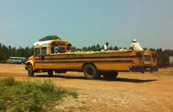I love seeing watermelon buses. : r/CasualConversation