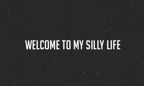 Welcome To My Silly Life