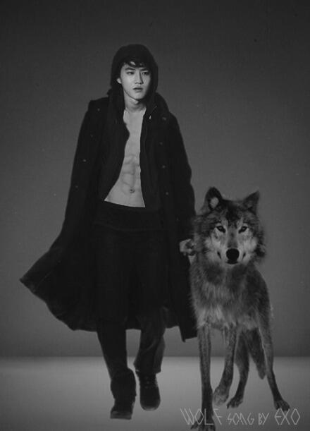 Wolf Exo Suho