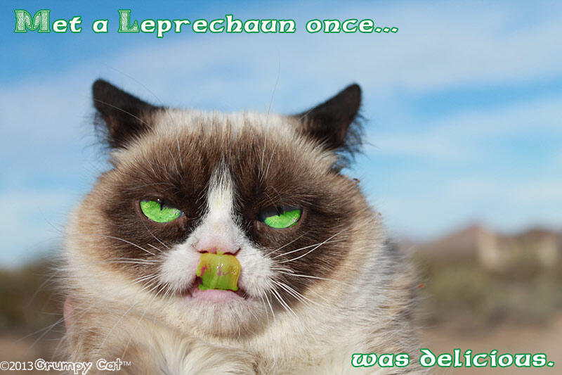 Grumpy Cat I Was Happy Once