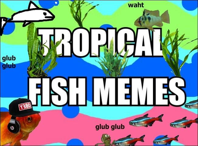 Tropical Memes The 16 Best Beach Memes To Drop In The Group Chat